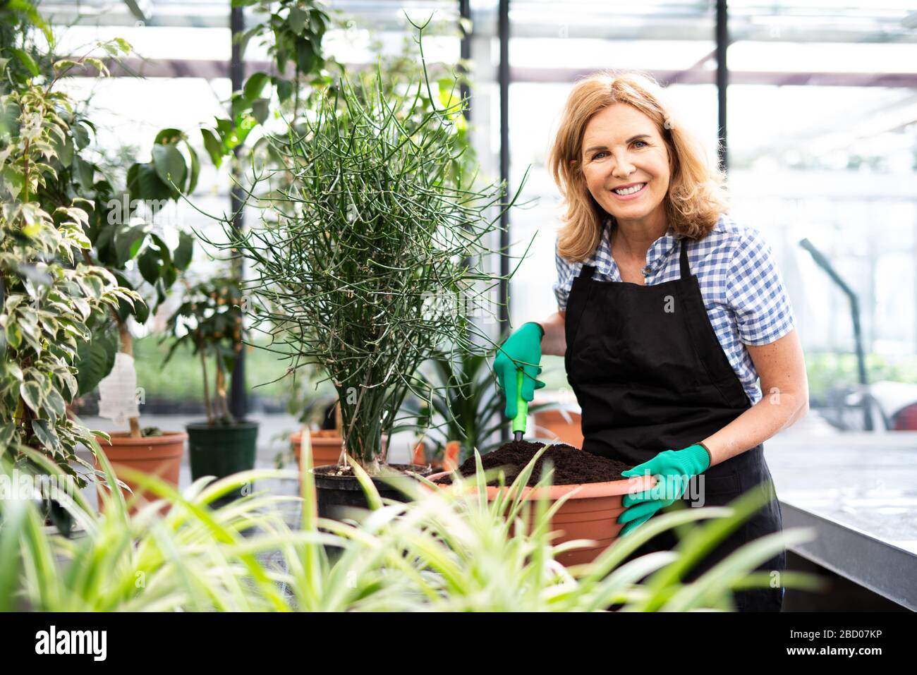 Hobby gardener works in hi-res stock photography and images - Alamy