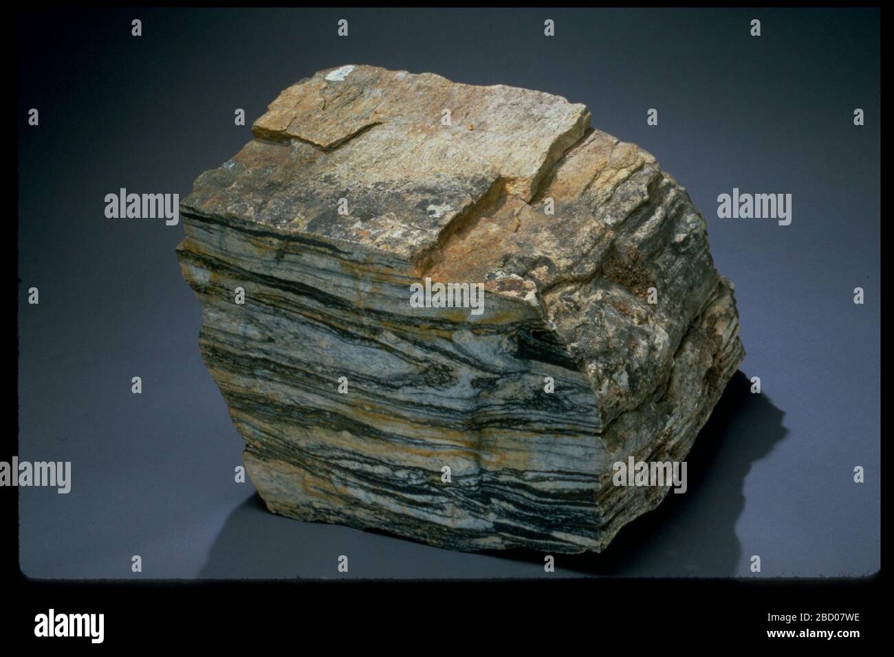 Photograph of a tonalitic gneiss (116542-1) from the National Rock ...