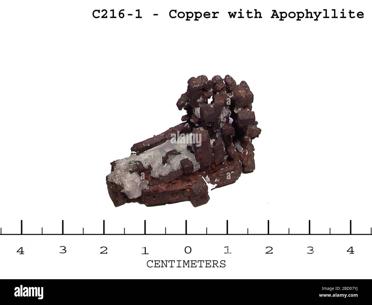 Copper. 2 Jul 201650116271 Copper Stock Photo - Alamy