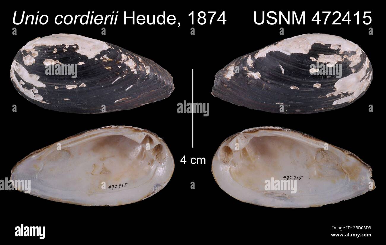 Heudei hi-res stock photography and images - Alamy
