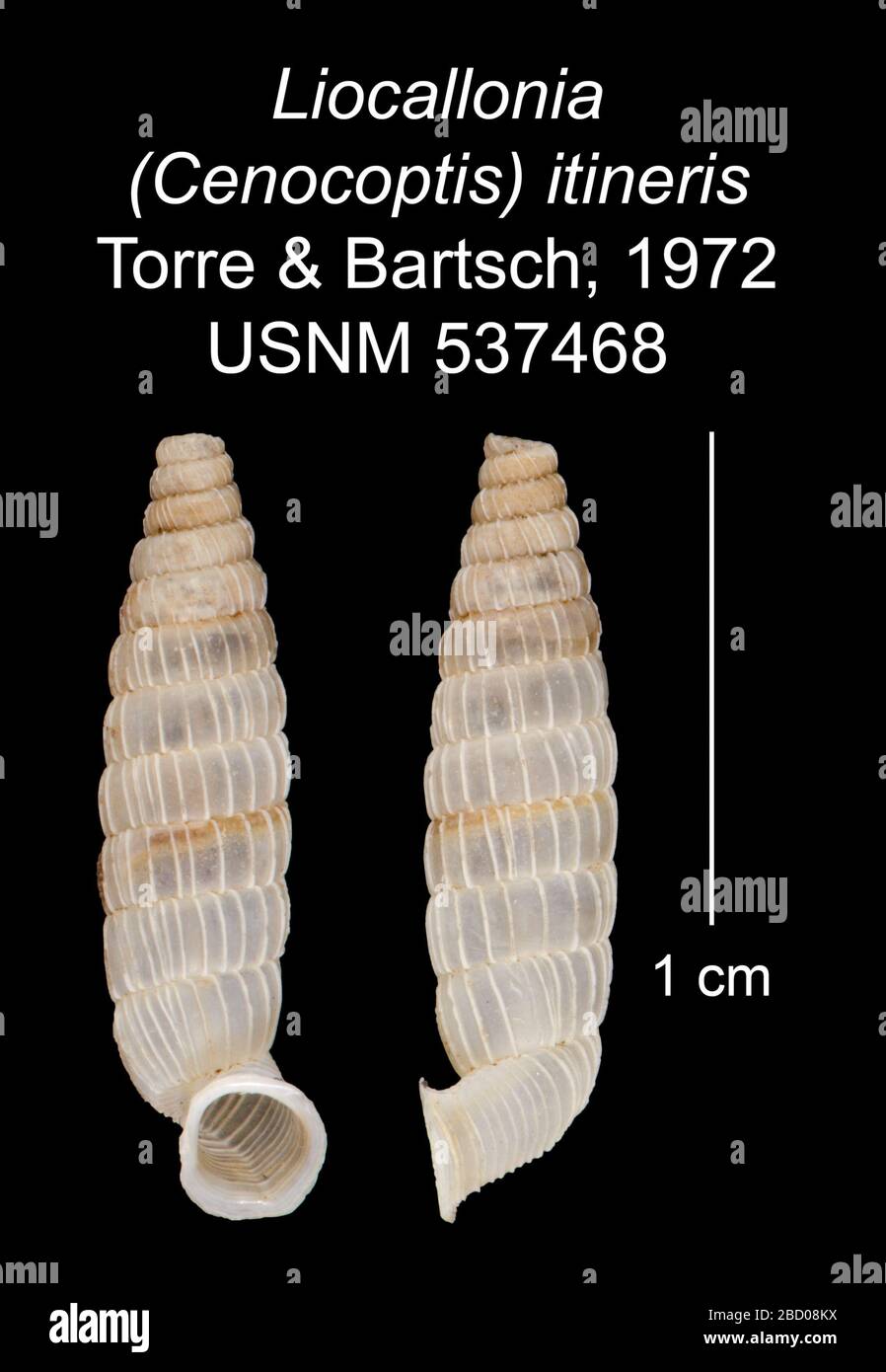 Itineris hi-res stock photography and images - Alamy