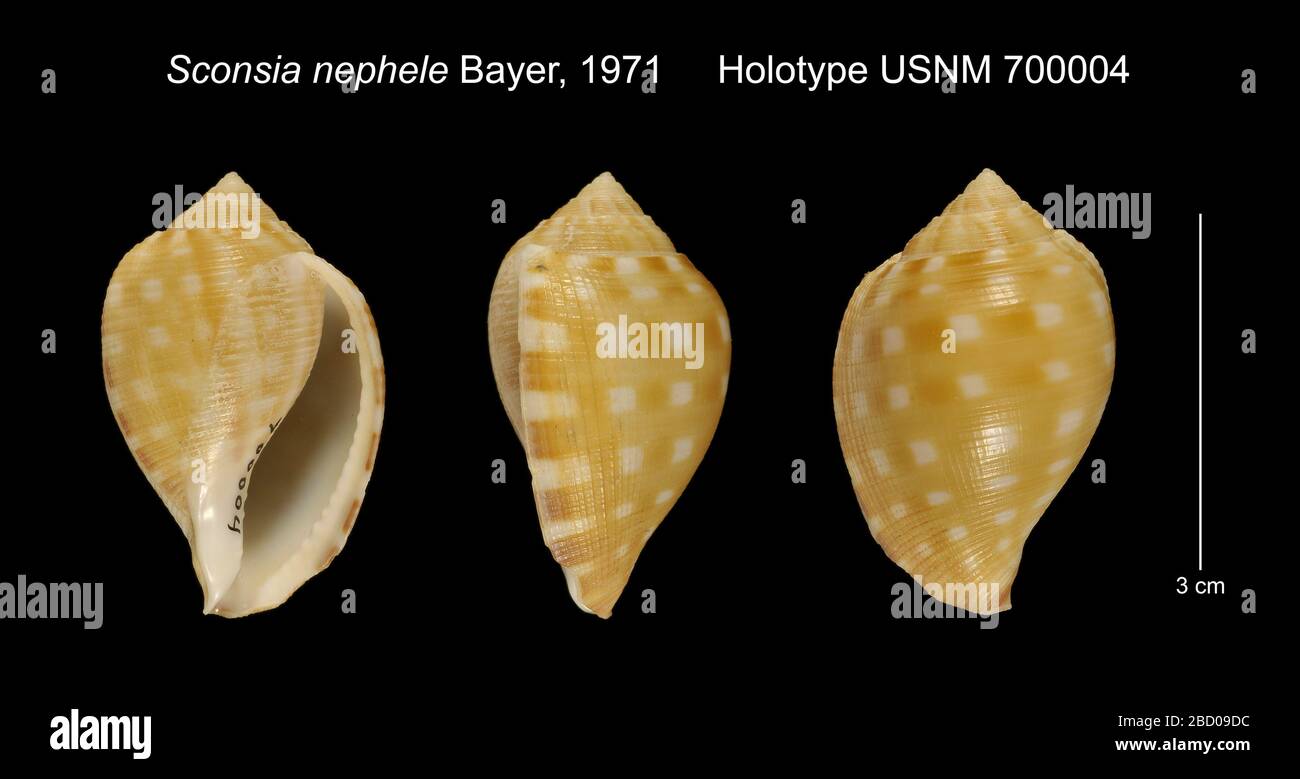 Nephele hi-res stock photography and images - Alamy