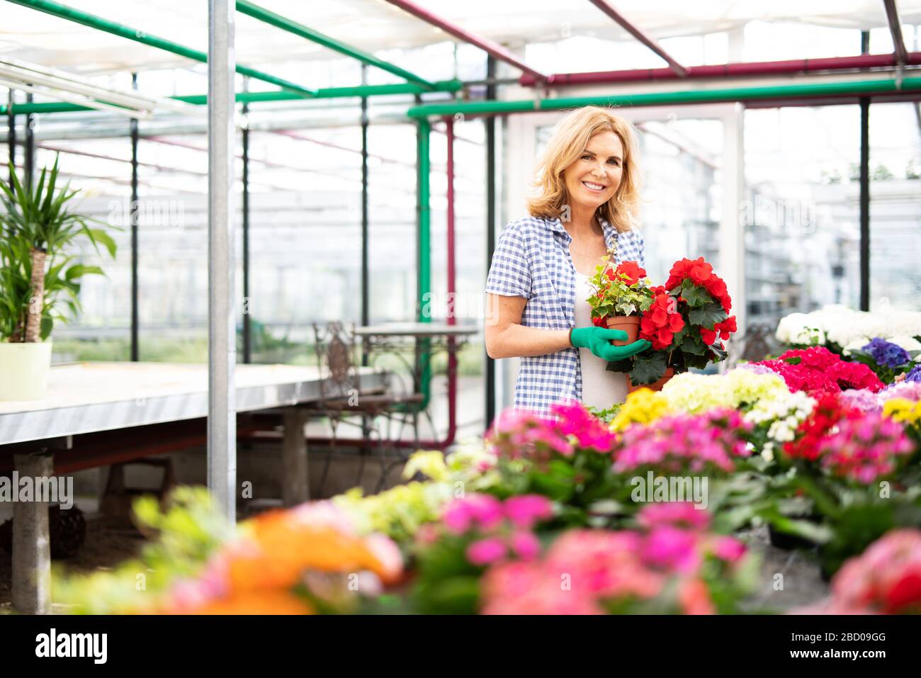 Woman selling works in nursery hi-res stock photography and images - Alamy