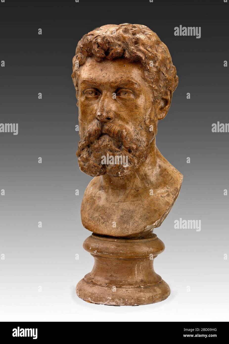 Scott wood hi-res stock photography and images - Alamy