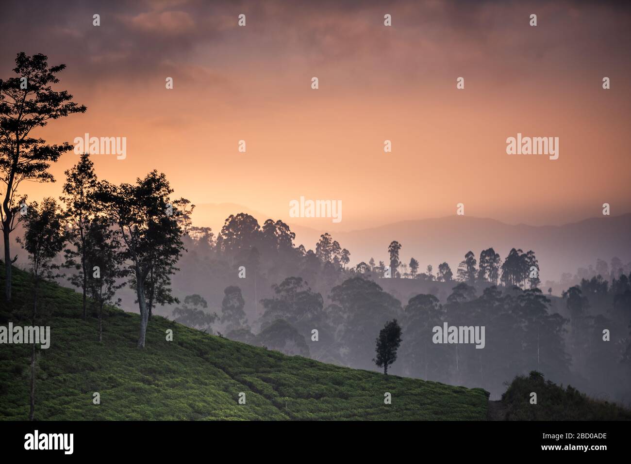 Ella sri lanka aerial hi-res stock photography and images - Alamy