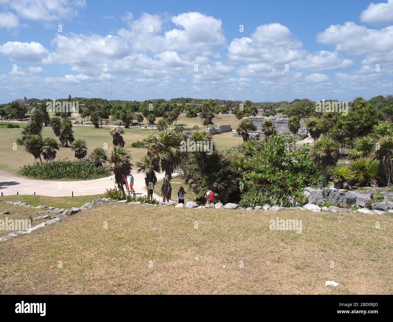 Zone of mayan ruins at TULUM city at Mexico on archaeological site ...