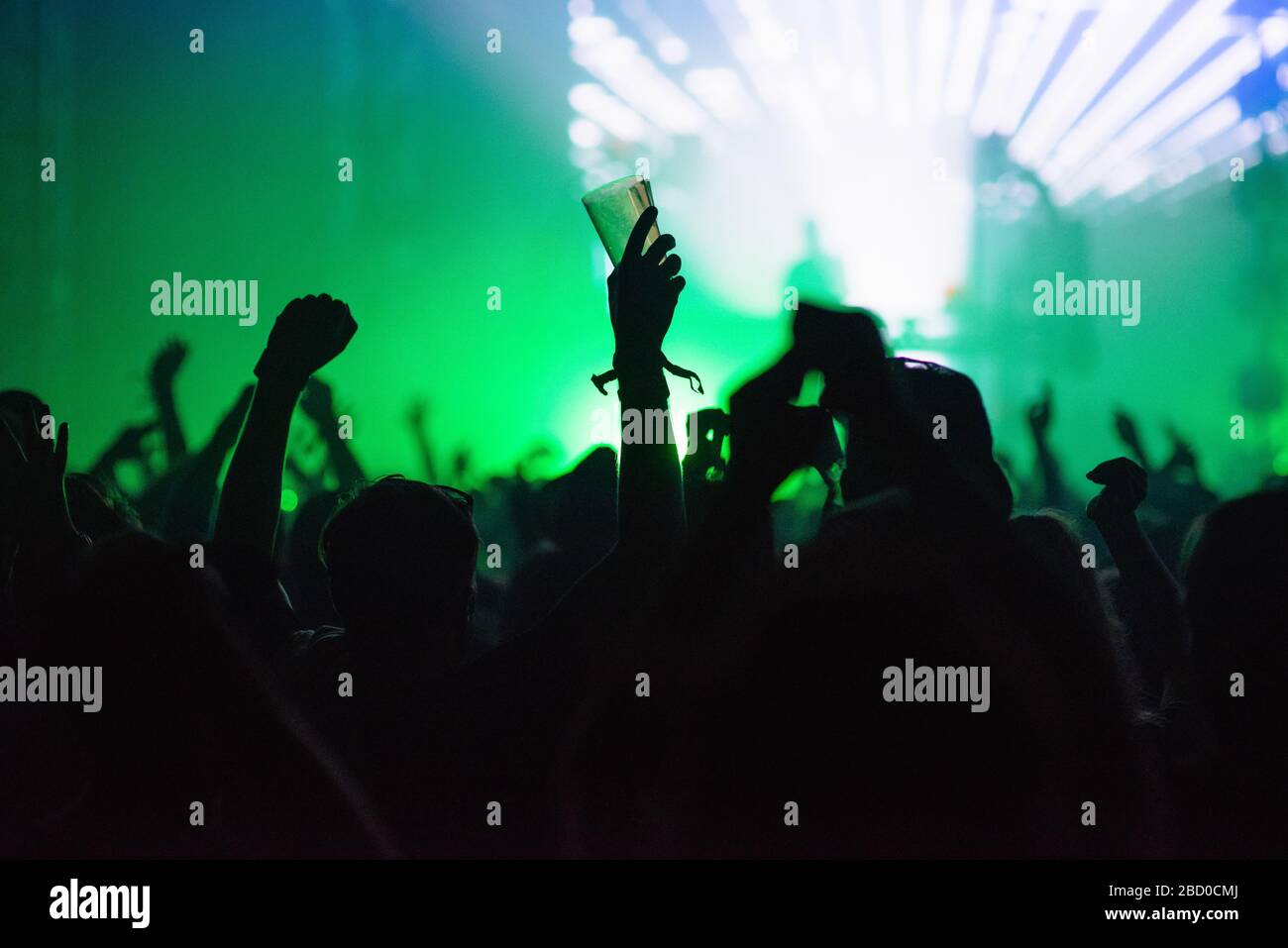 Party Hands In The Air Silhouette