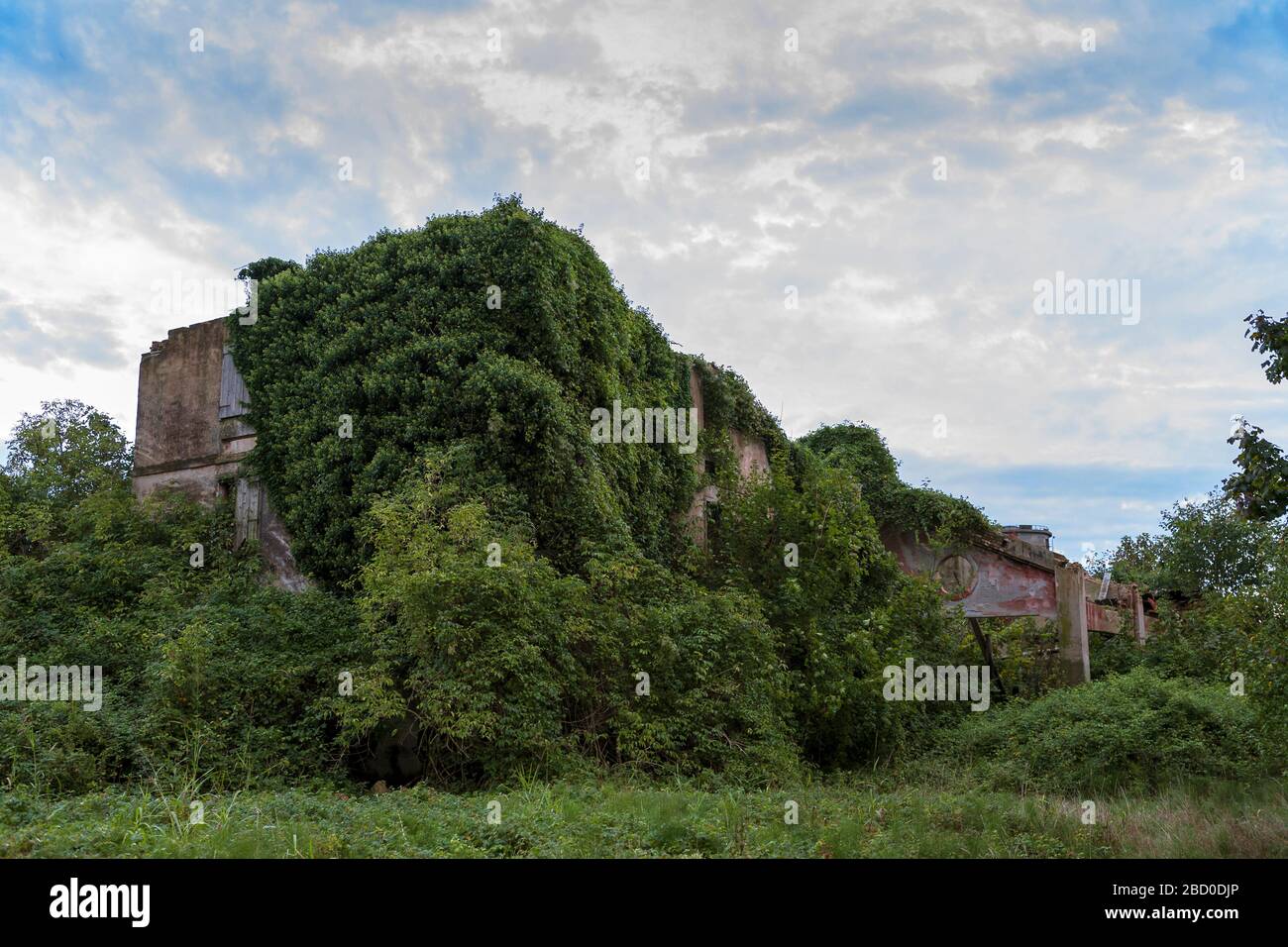 Overgrown buildings hi-res stock photography and images - Alamy