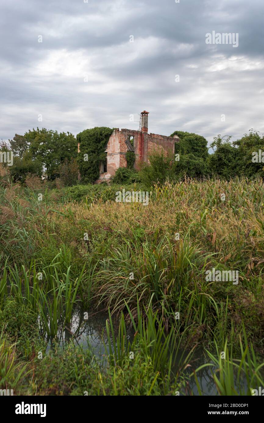 Overgrown buildings hi-res stock photography and images - Alamy