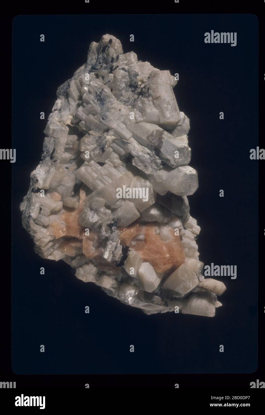 Scapolite hi-res stock photography and images - Alamy