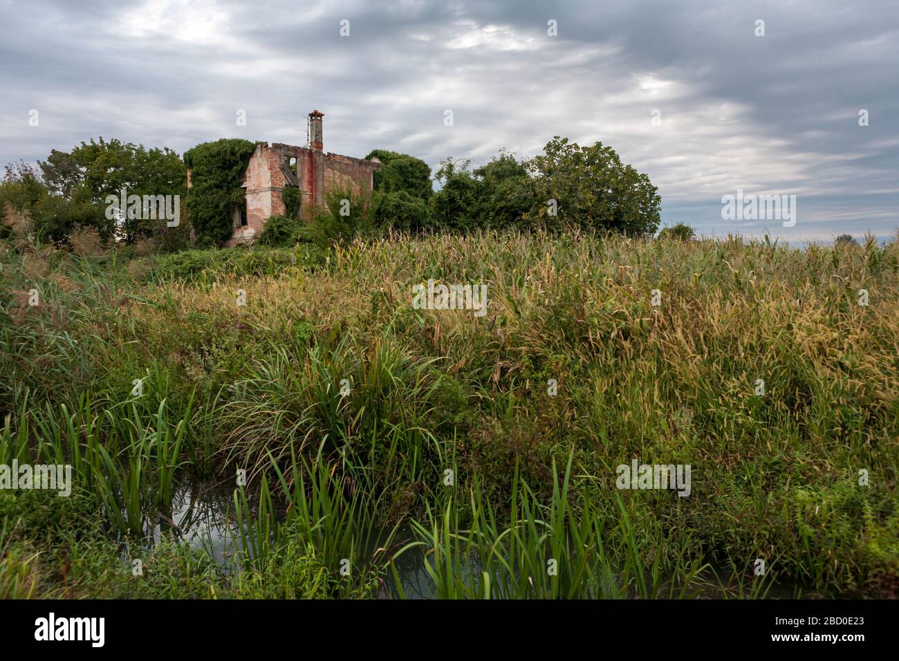 Overgrown abandoned buildings hi-res stock photography and images - Alamy