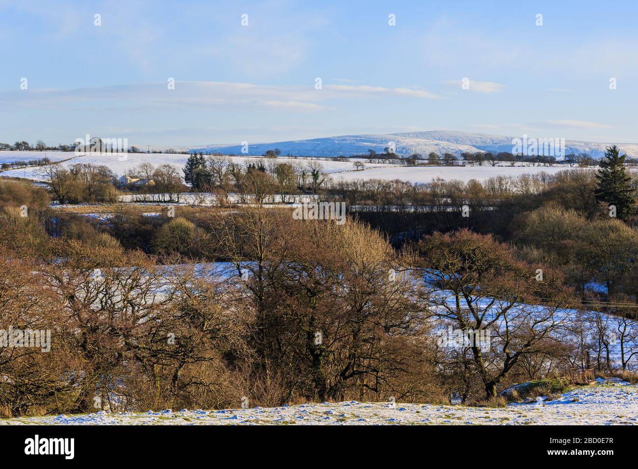 Adult covered with snow hi-res stock photography and images - Alamy