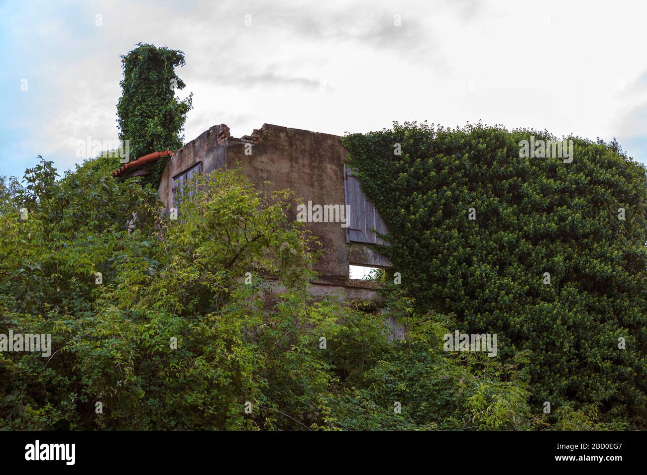 Overgrown buildings hi-res stock photography and images - Alamy