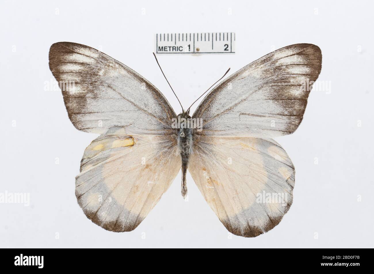 Kuehni hi-res stock photography and images - Alamy