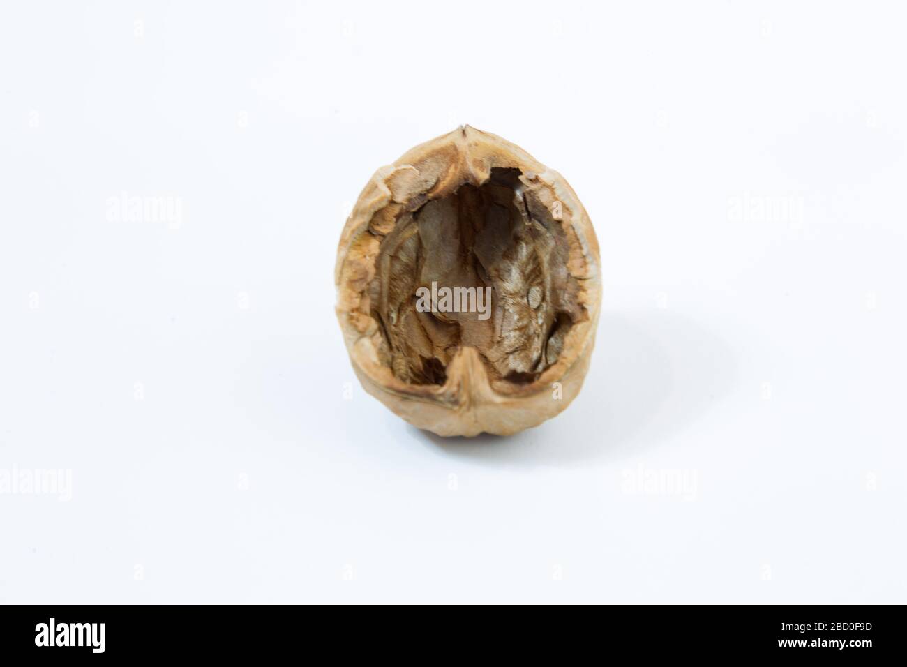 nuts with shell and without Stock Photo - Alamy