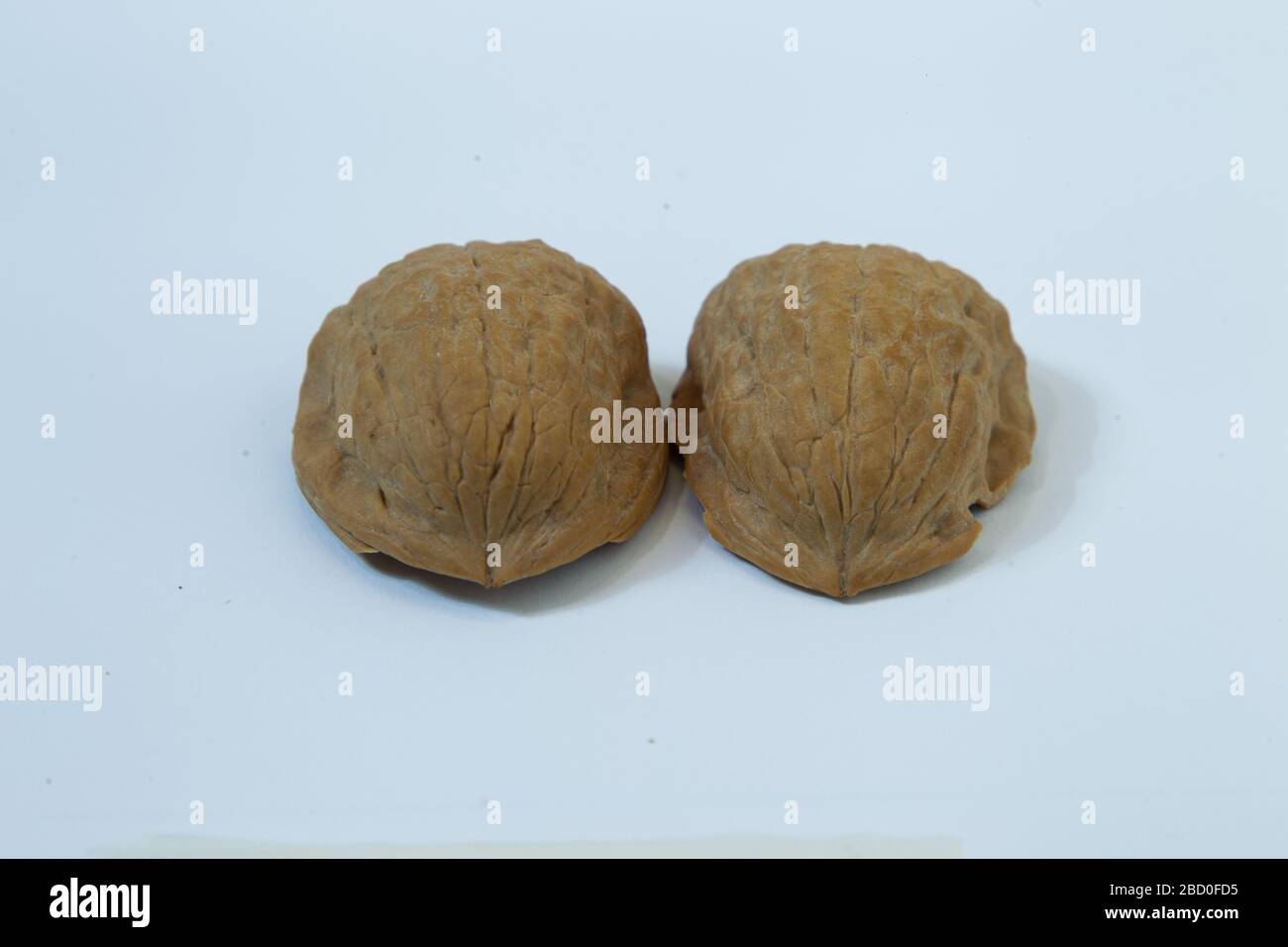 nuts with shell and without Stock Photo - Alamy