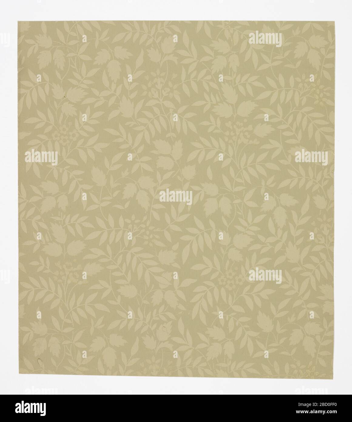 Stylized vines hi-res stock photography and images - Alamy