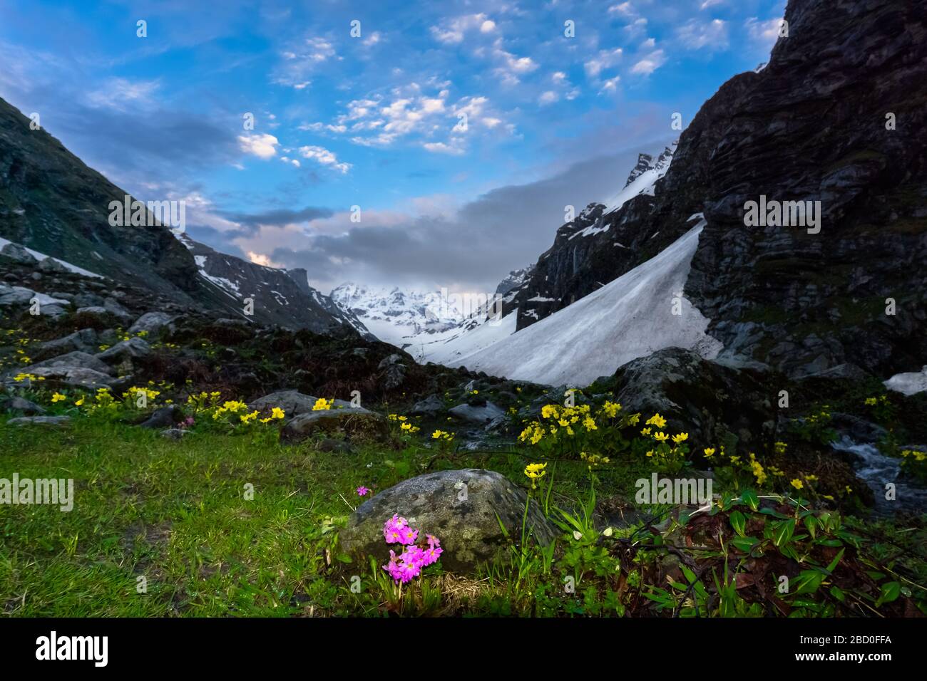 The amazing trek to hampta pass himalaya himachal pradesh india Stock ...