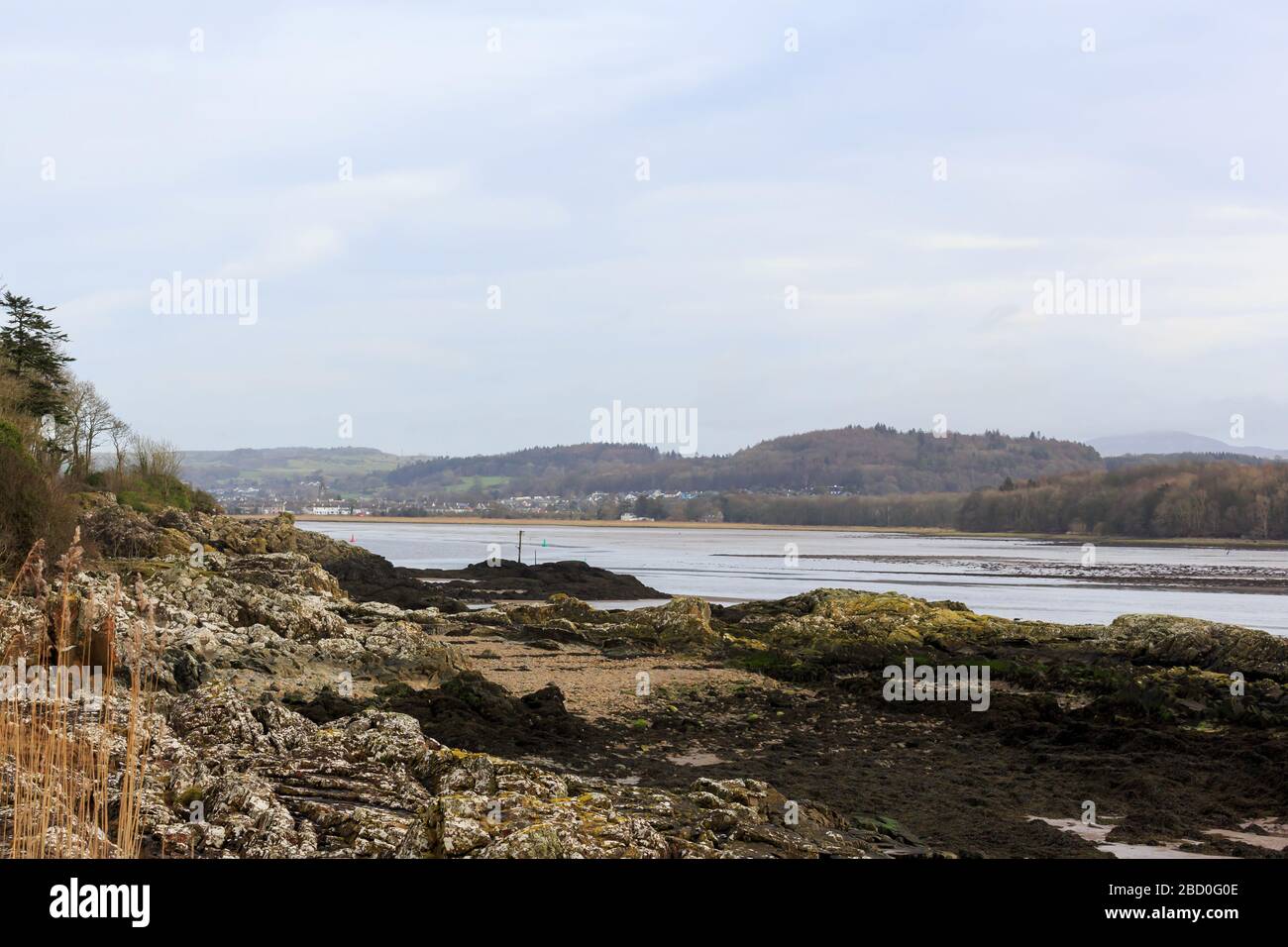 View across the river Dee towards Kirkcudbright Dumfries & Galloway ...