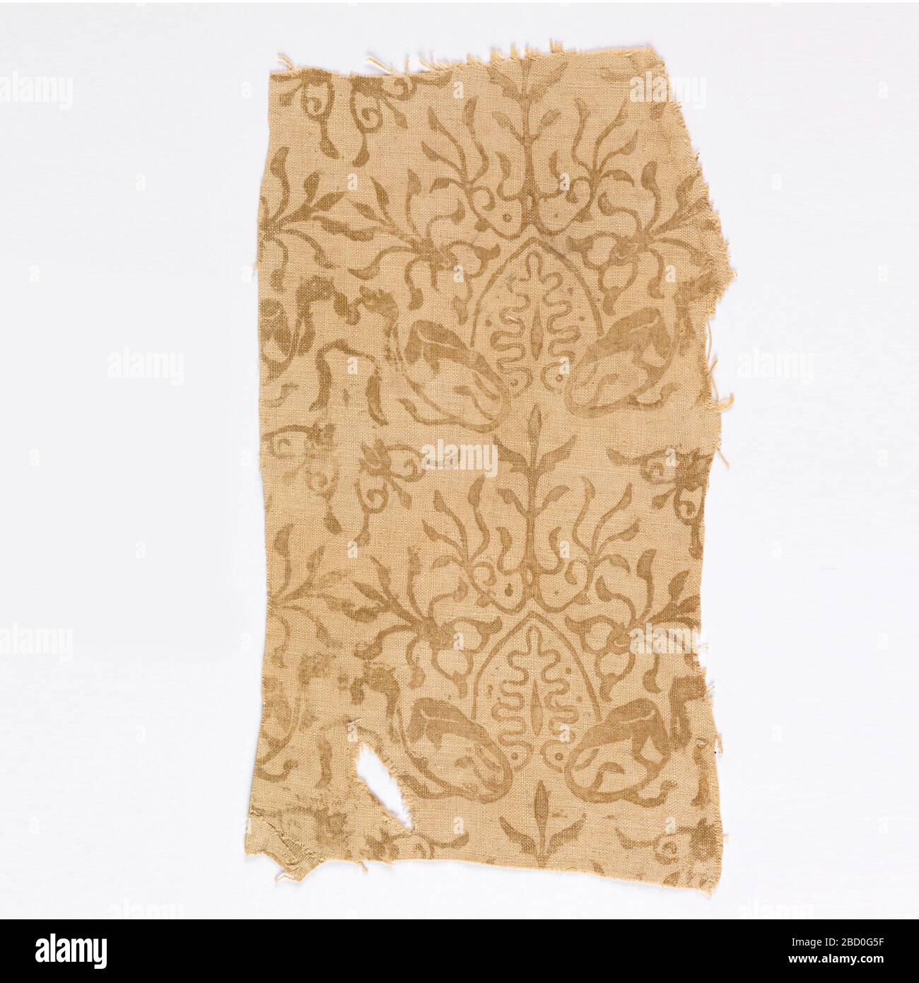 Twining lizards forming hi-res stock photography and images - Alamy