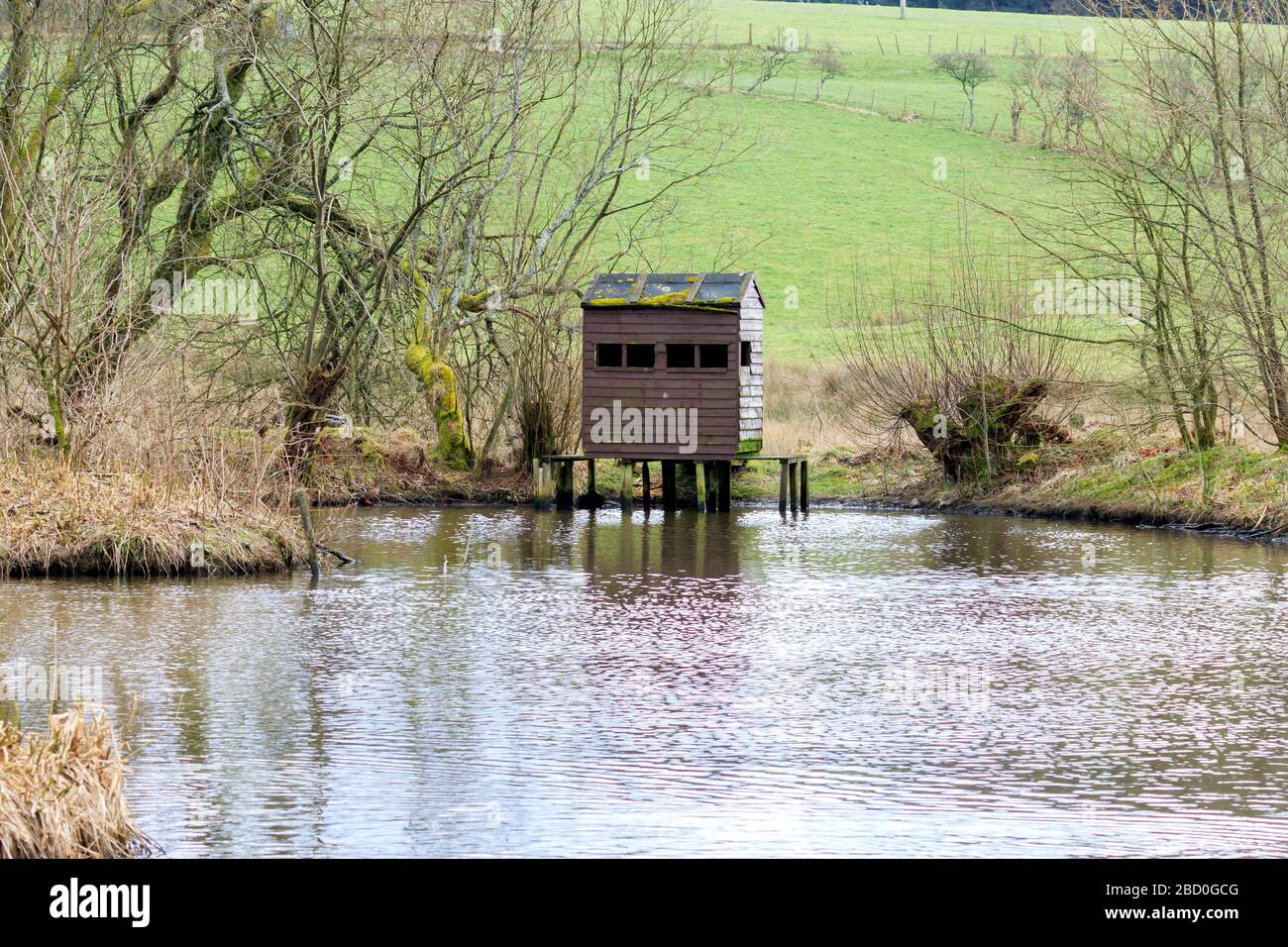 Old bird hide stood on stilts at the edge of pond Stock Photo - Alamy