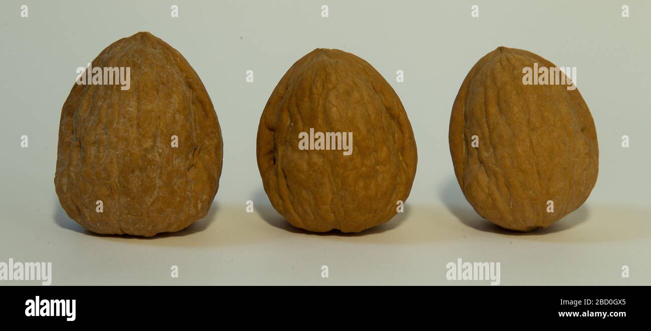 nuts with shell and without Stock Photo - Alamy