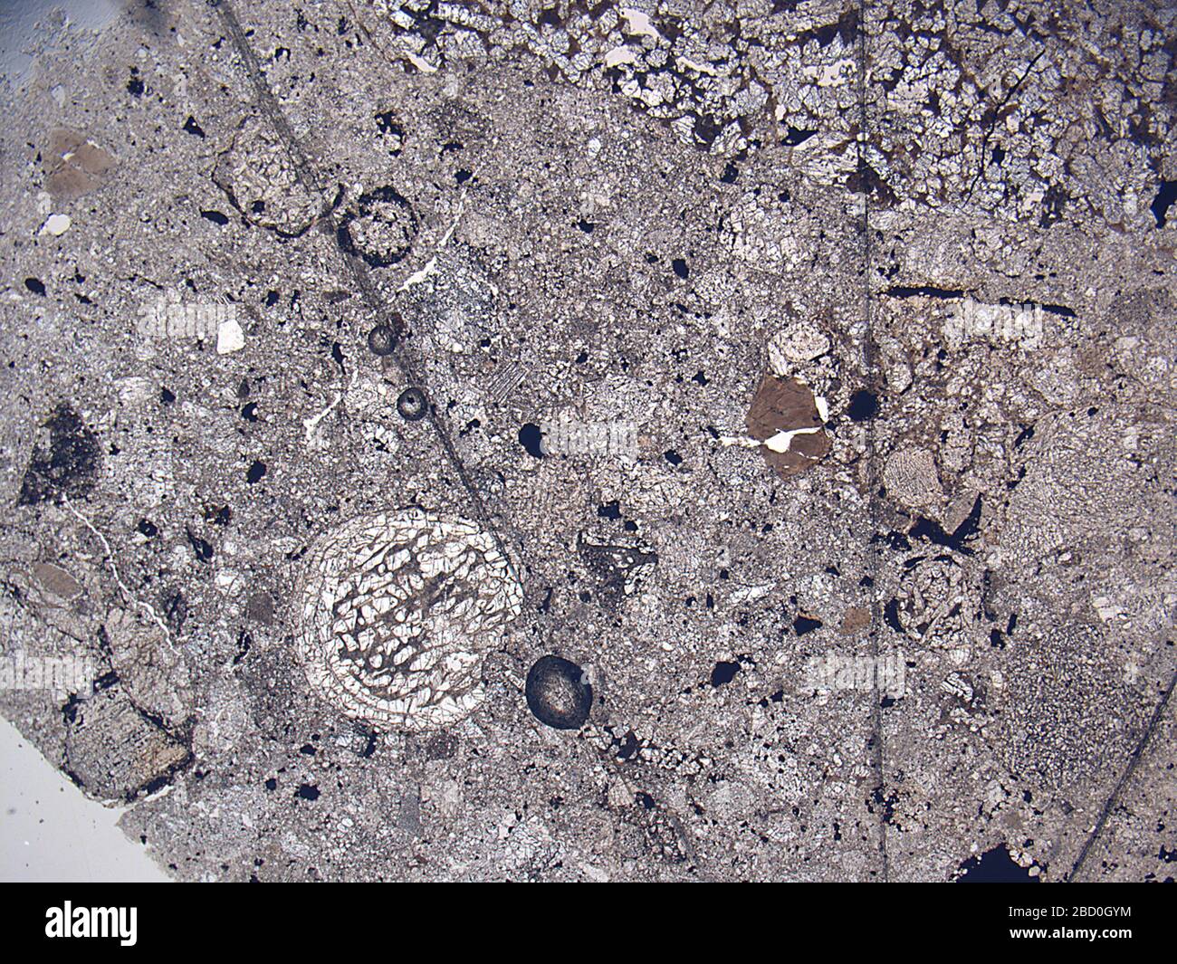 Bhola hi-res stock photography and images - Alamy