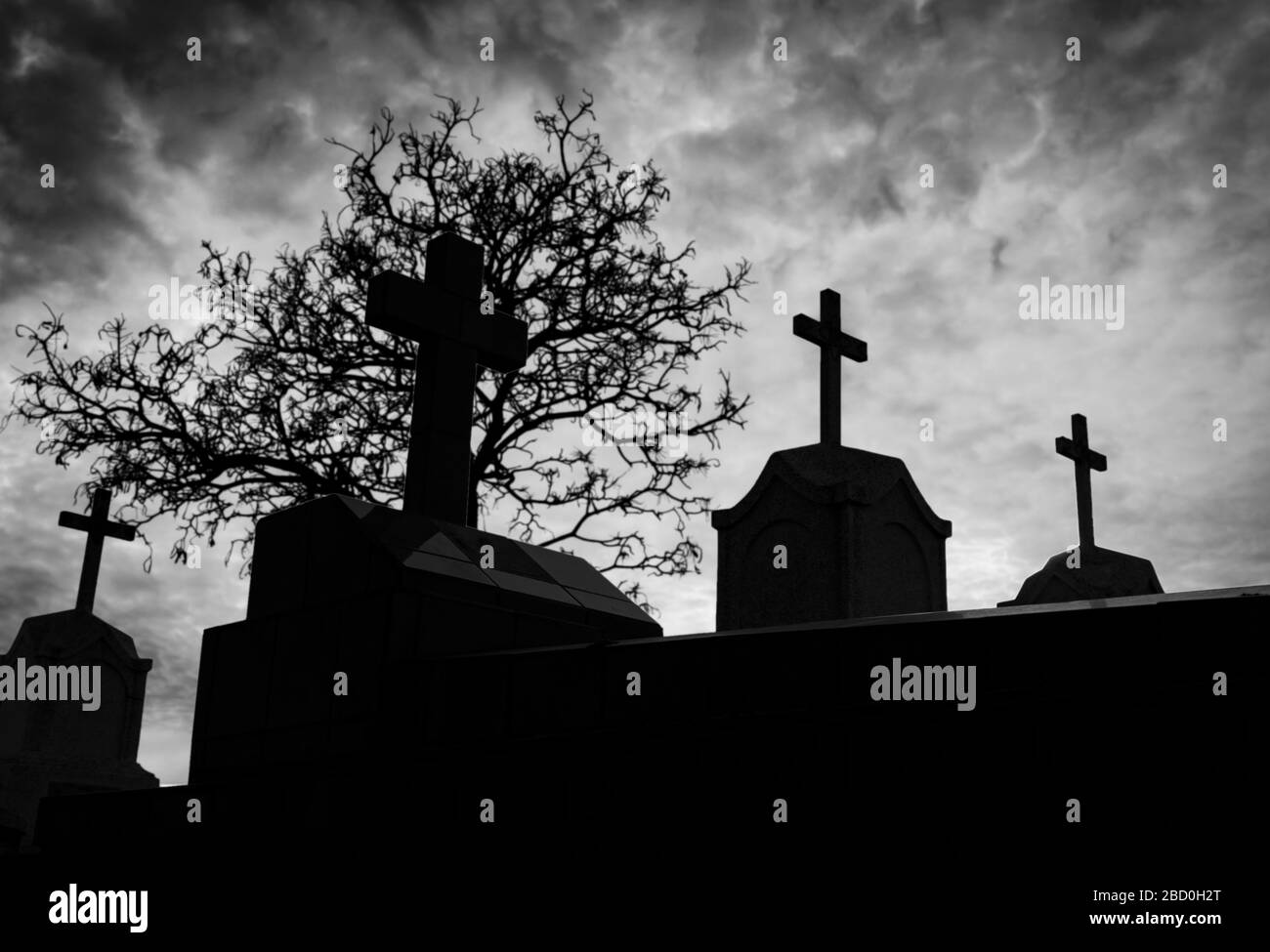 Cemetery or graveyard and dead tree in the night with dark sky and ...