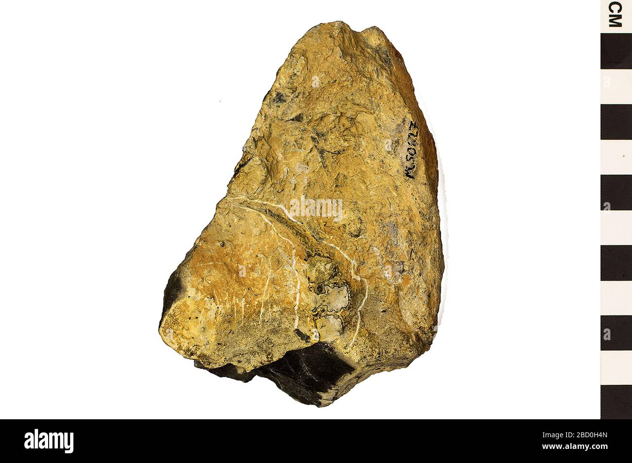 002 jpg hi-res stock photography and images - Alamy