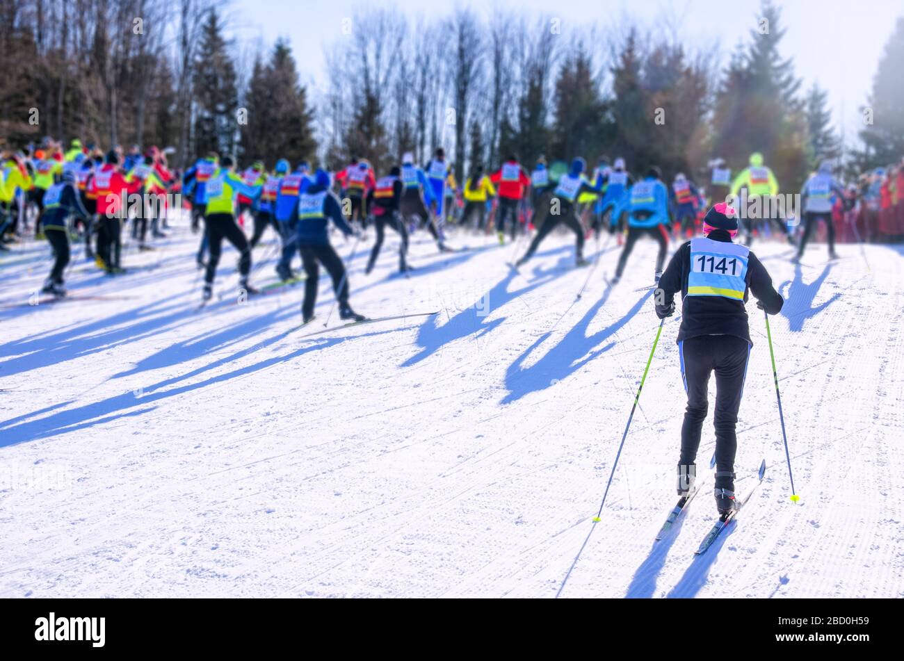 Nordic ski skier on the track in winter Stock Photo - Alamy