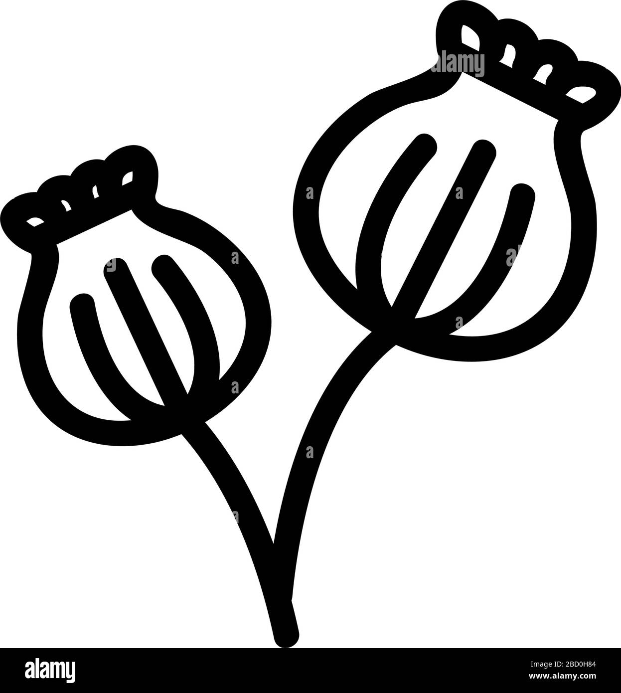 poppy plant icon vector outline illustration Stock Vector Image & Art ...