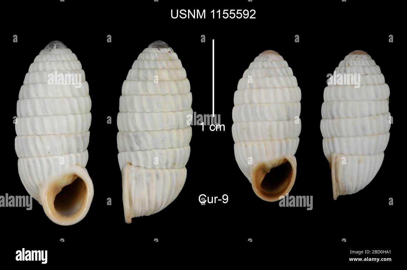 9100 High Resolution Stock Photography and Images - Alamy