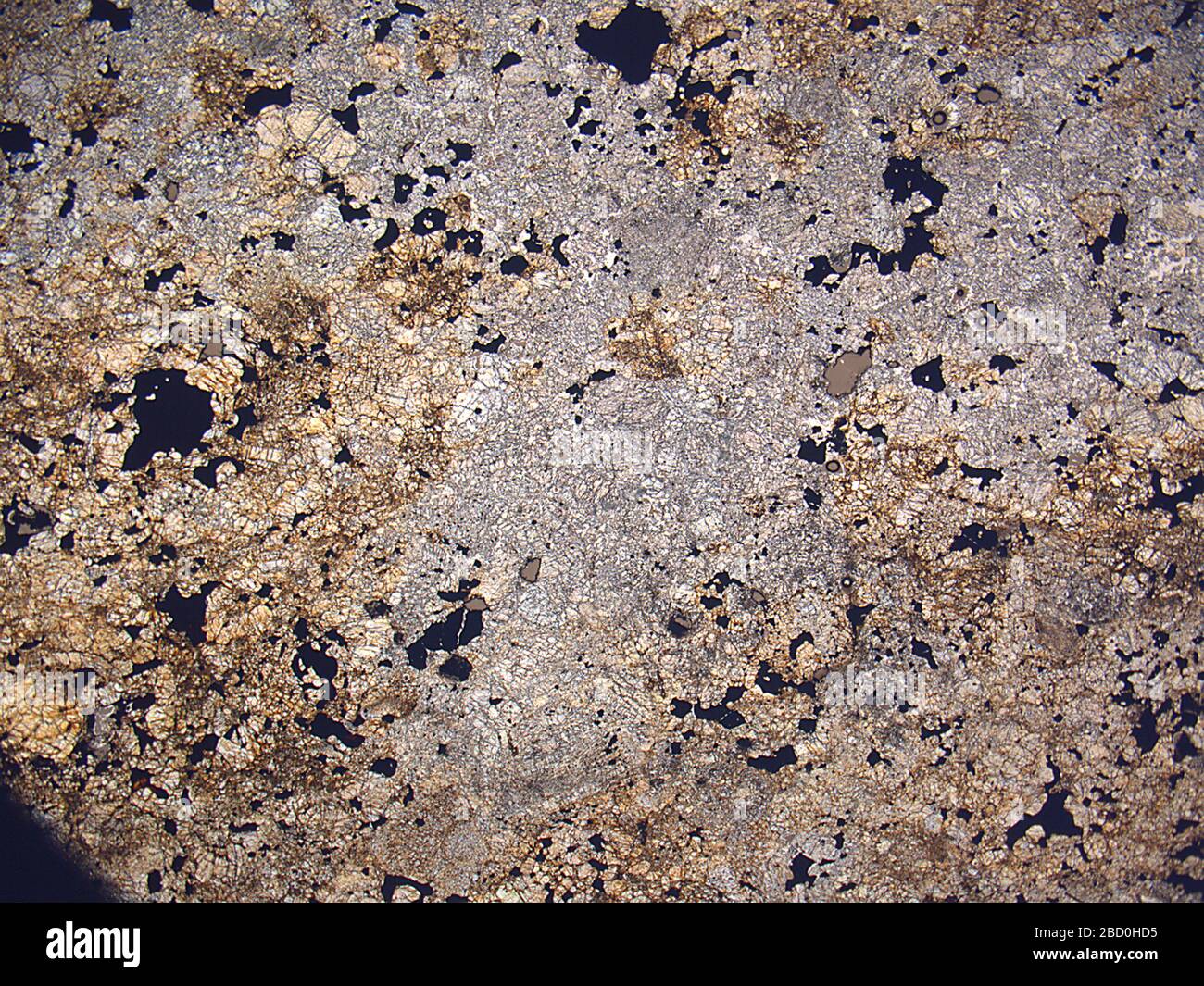 Clareton hi-res stock photography and images - Alamy