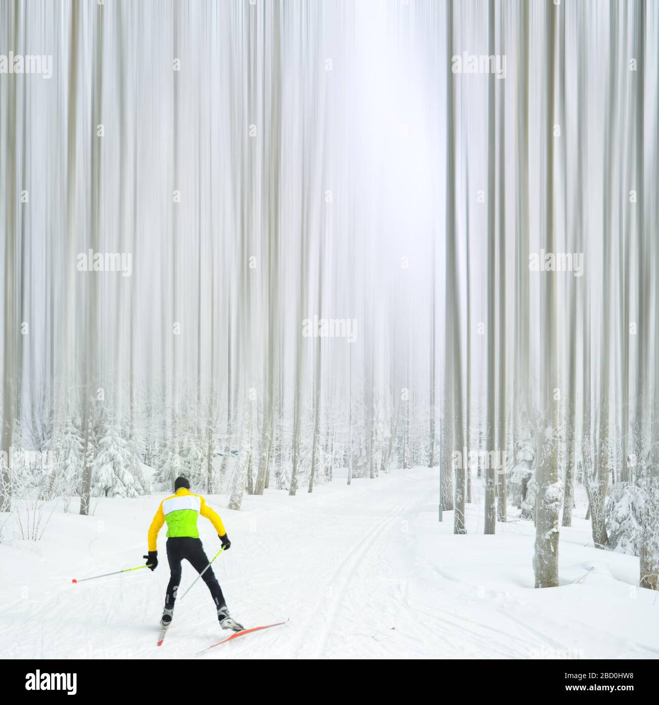 Rivalry in nature hi-res stock photography and images - Alamy