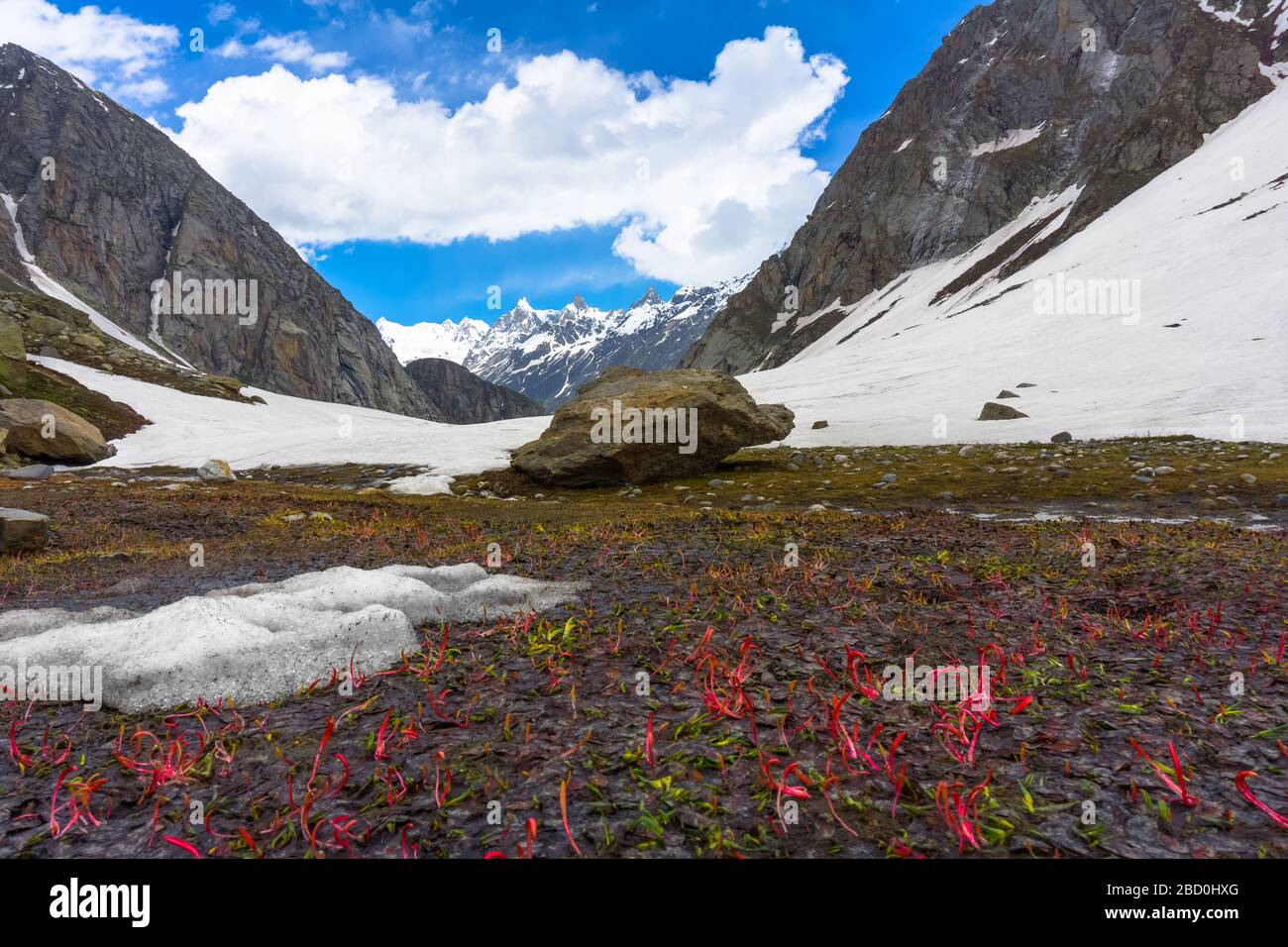 The amazing trek to hampta pass himalaya himachal pradesh india Stock ...