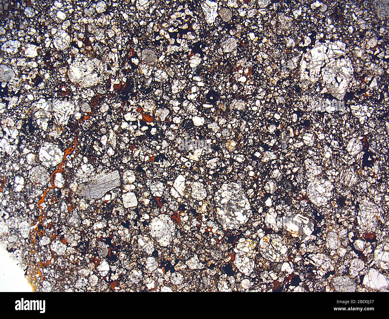 Eva. 23 Aug 201845443791 Eva Stock Photo - Alamy