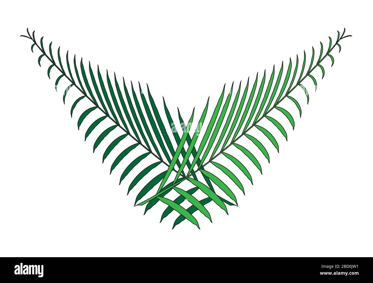 Two crossed branches Stock Vector Images - Alamy