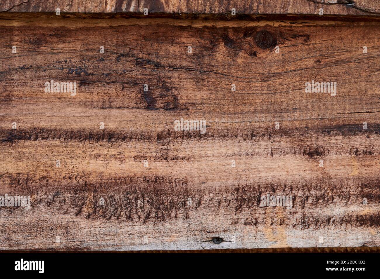 rough wood closeup for background or texture Stock Photo - Alamy