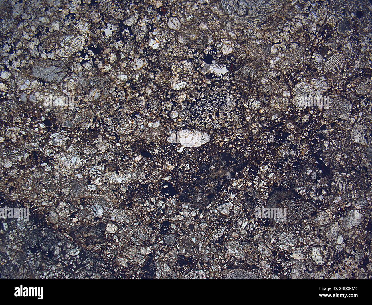 Kelly 4 hi-res stock photography and images - Alamy