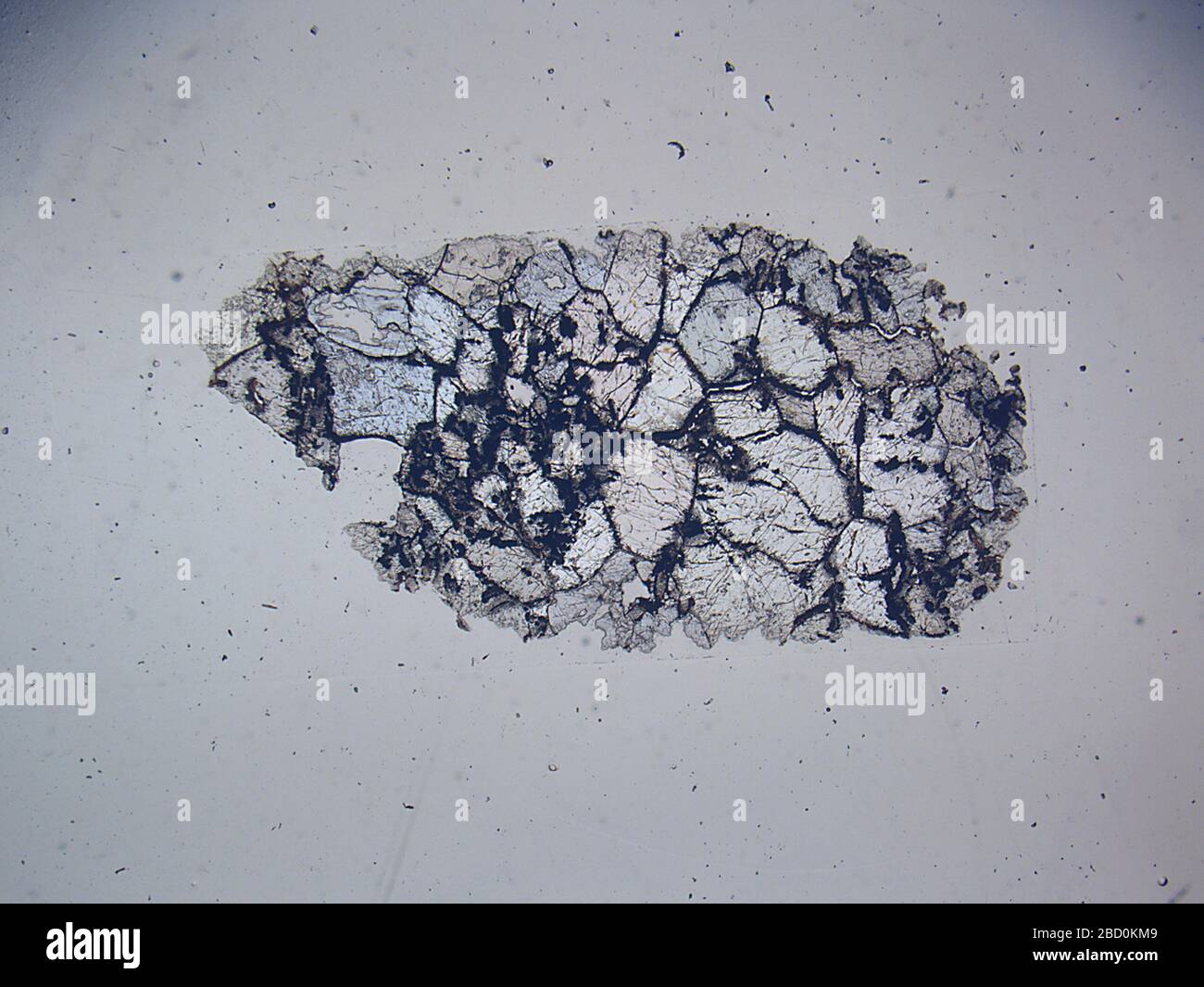 Kenna collection hi-res stock photography and images - Alamy