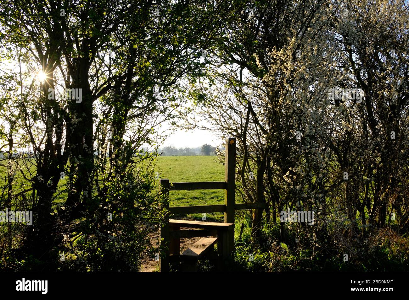 Open grassland with hedges hi-res stock photography and images - Alamy