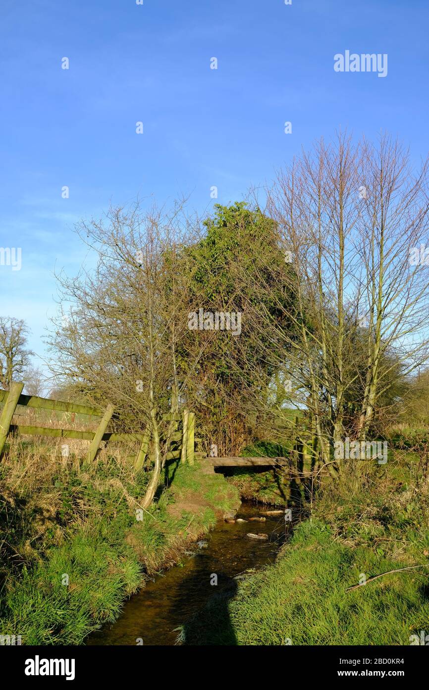 Open grassland with hedges hi-res stock photography and images - Alamy