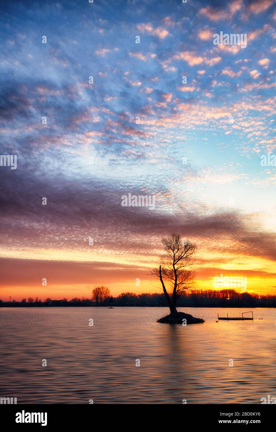 Lake with alone tree at dramatic sunset Stock Photo - Alamy