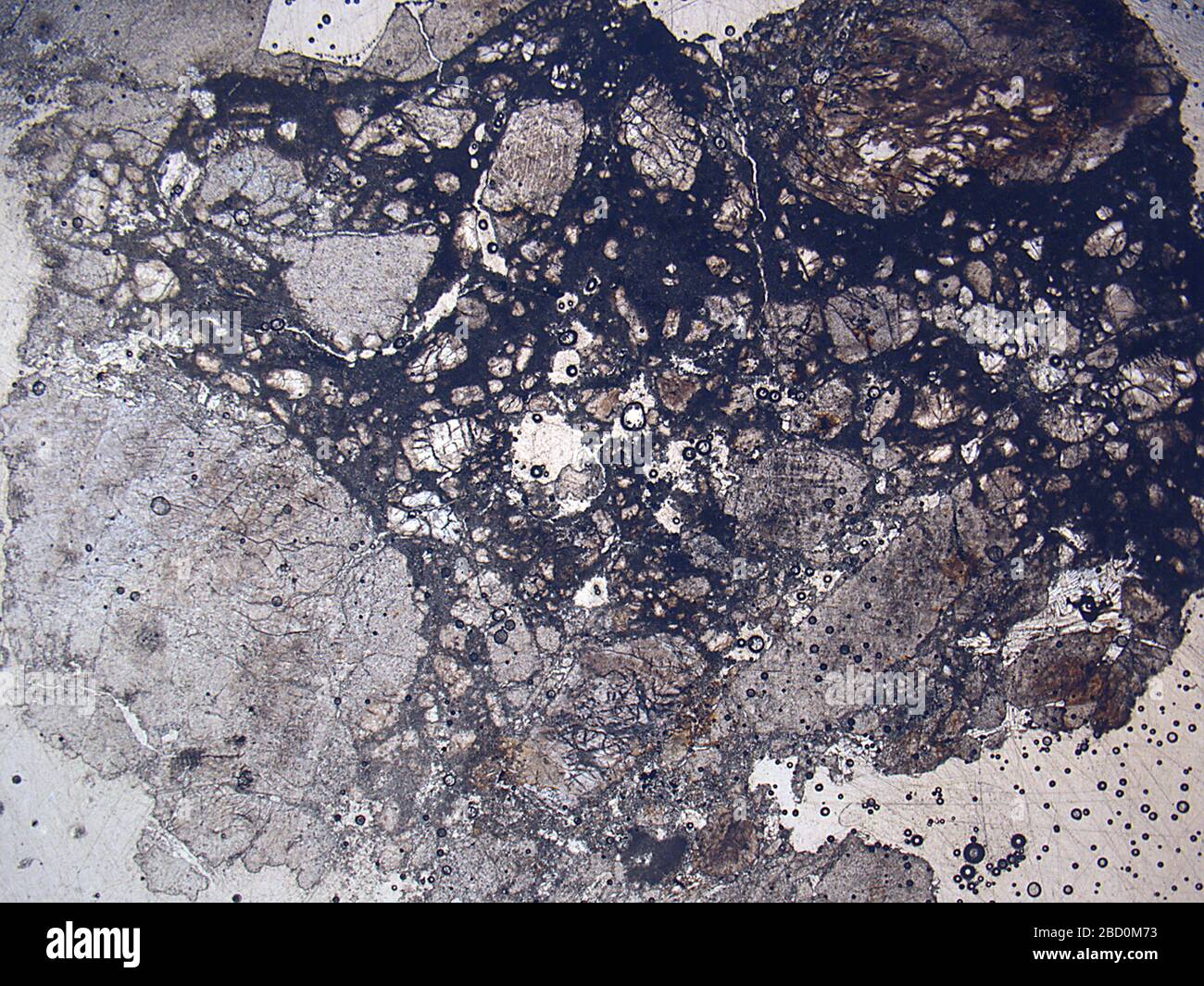 Mayo belwa hi-res stock photography and images - Alamy