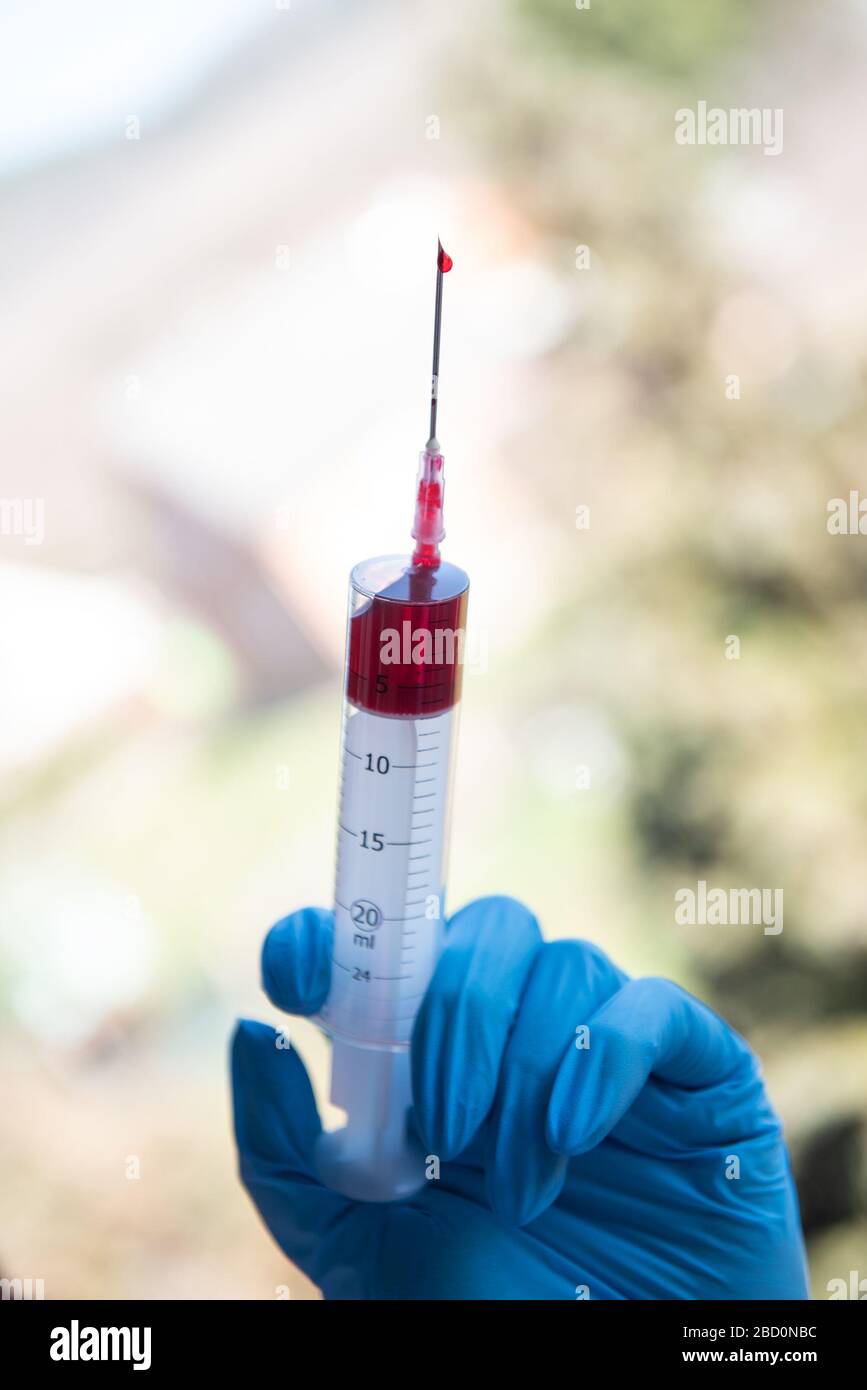 Injection syringe with blood with gloved hand Stock Photo - Alamy