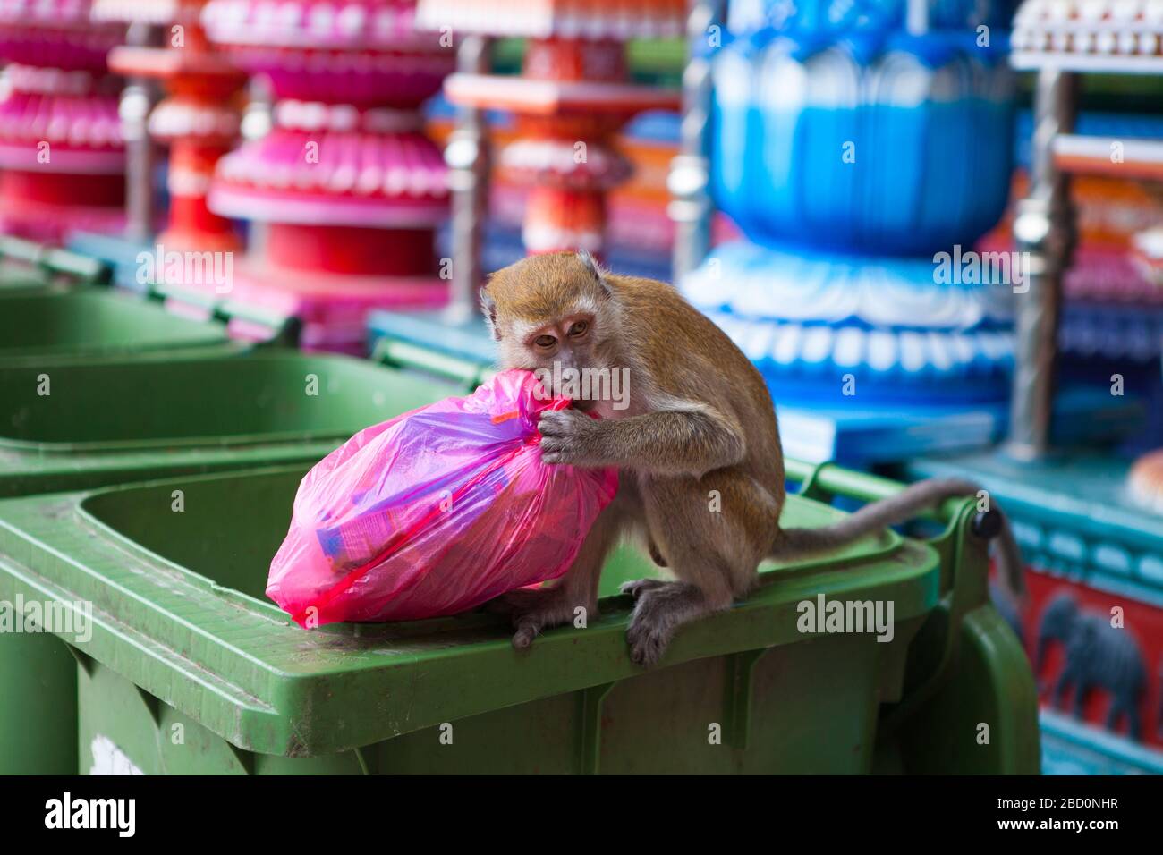 Cave pollution hi-res stock photography and images - Alamy