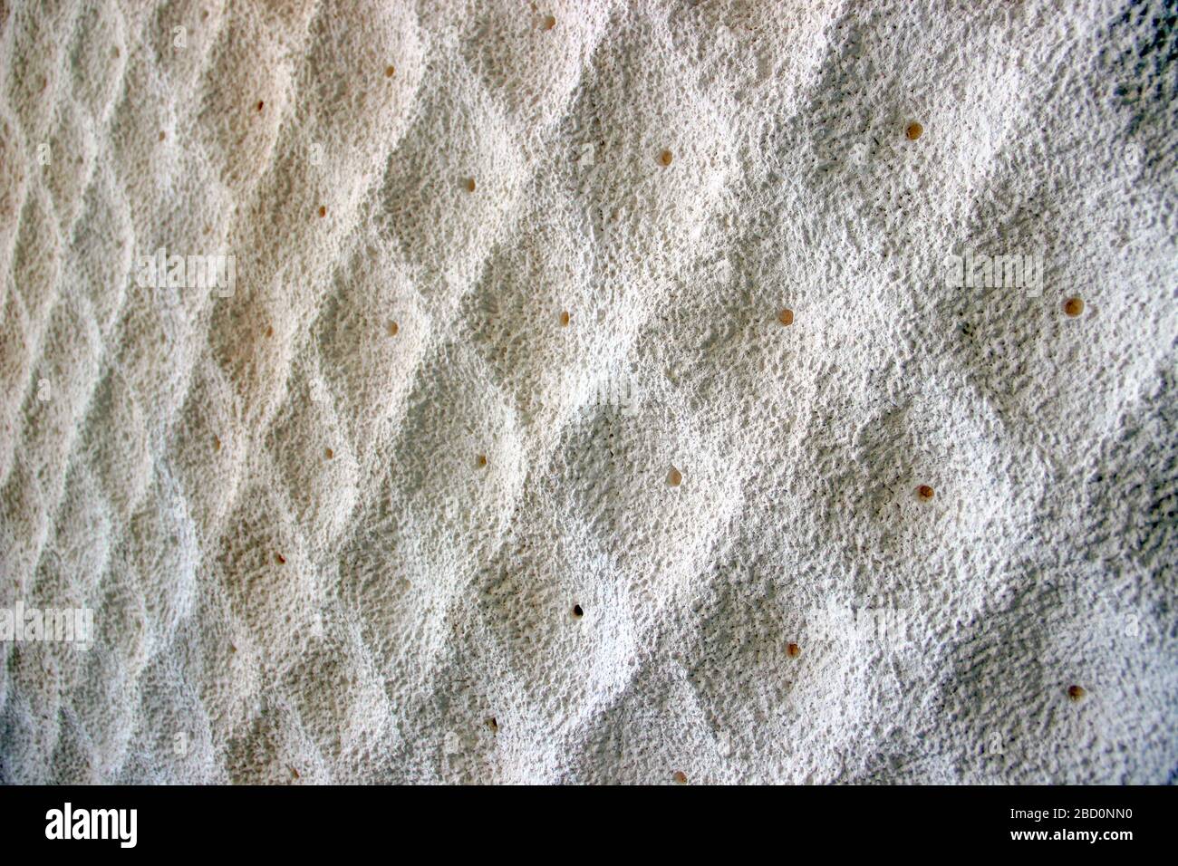 Abstract background of white structure Stock Photo - Alamy