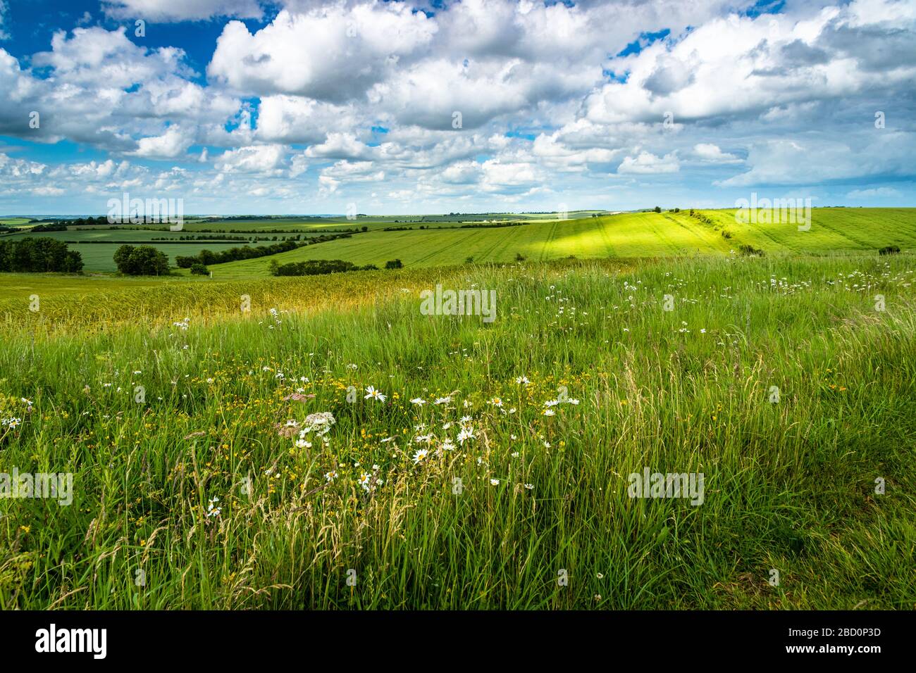 Sun spots hi-res stock photography and images - Alamy
