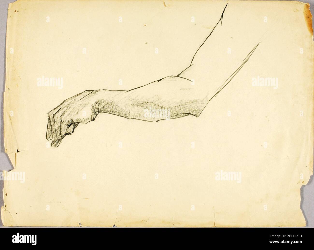 Study of Arm Stock Photo - Alamy