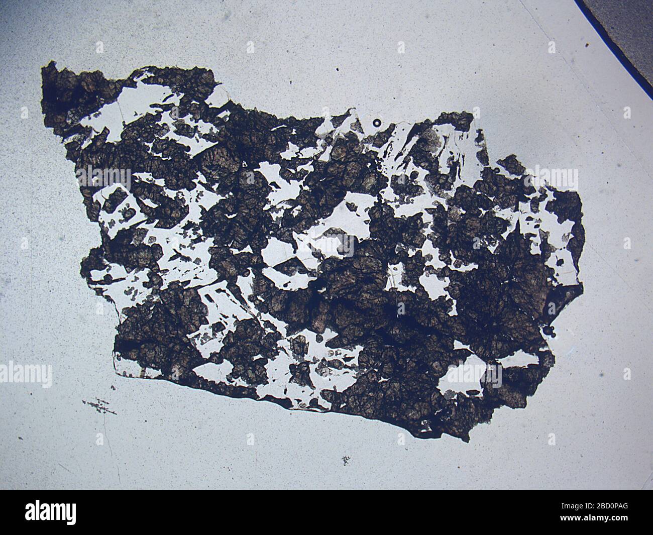 Nwa hi-res stock photography and images - Alamy